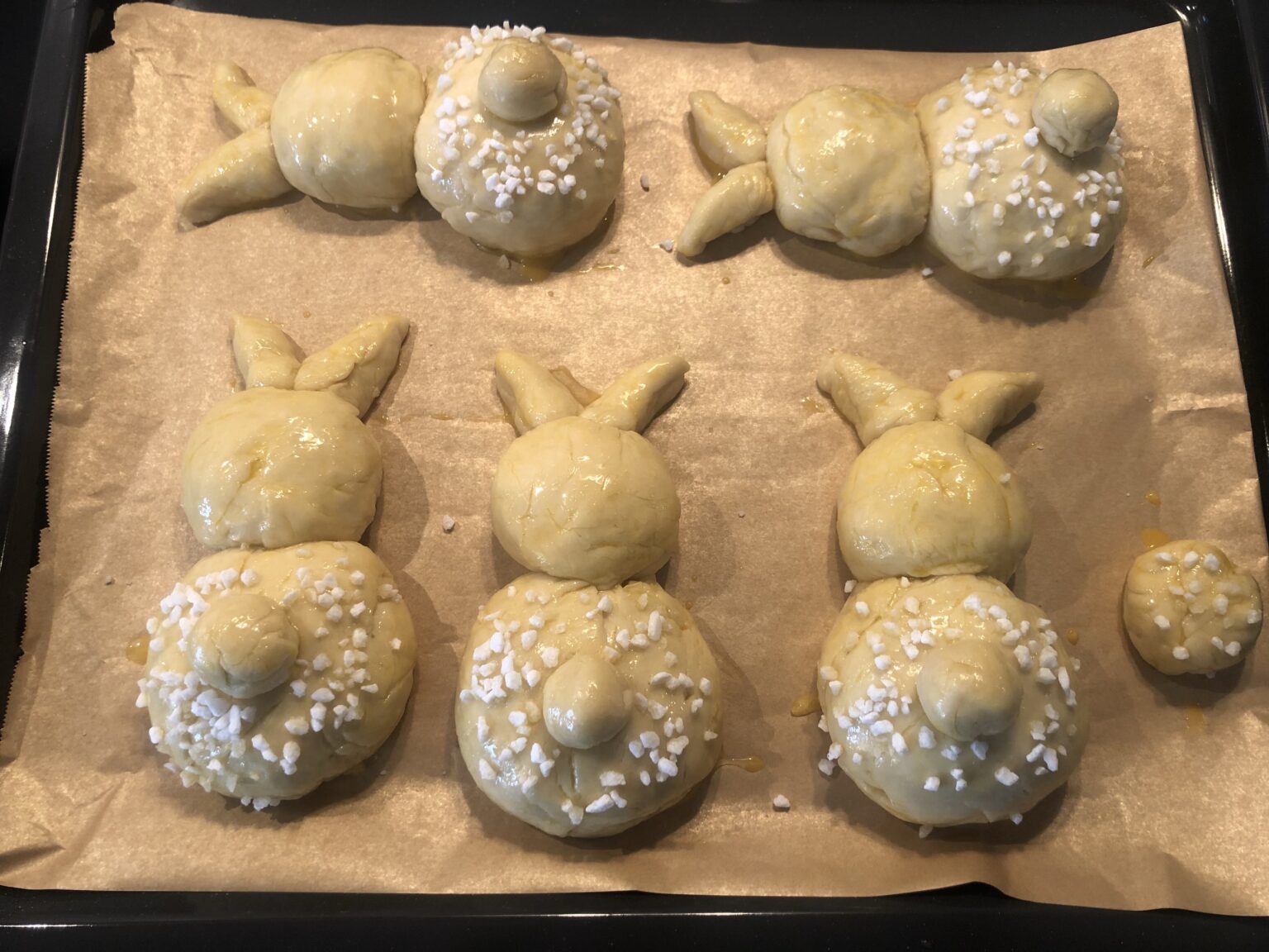 Zopf-Hasen - Foodilicious